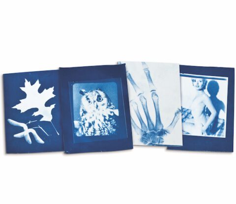 Sunography – Solar Powered Photography 6 Paper Sheets - Japantastic